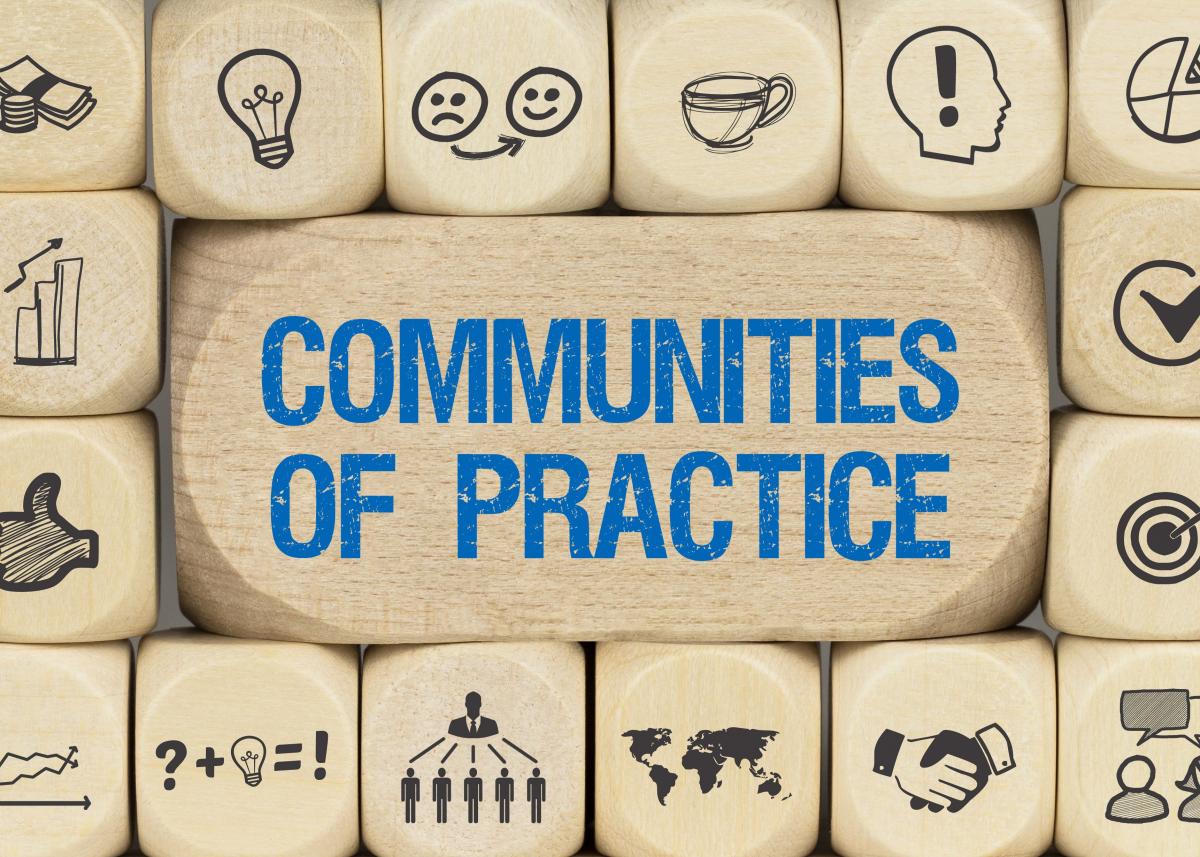 Creating, Building and Nurturing a Community of Practice: A Strategic ...