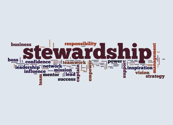 Stewardship guidance | Australian Public Service Academy
