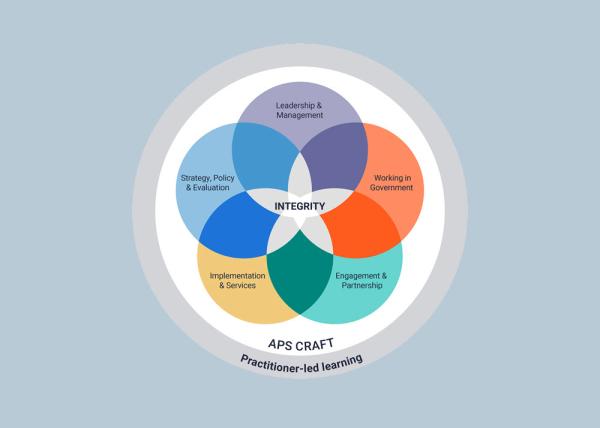 APS Craft | Australian Public Service Academy